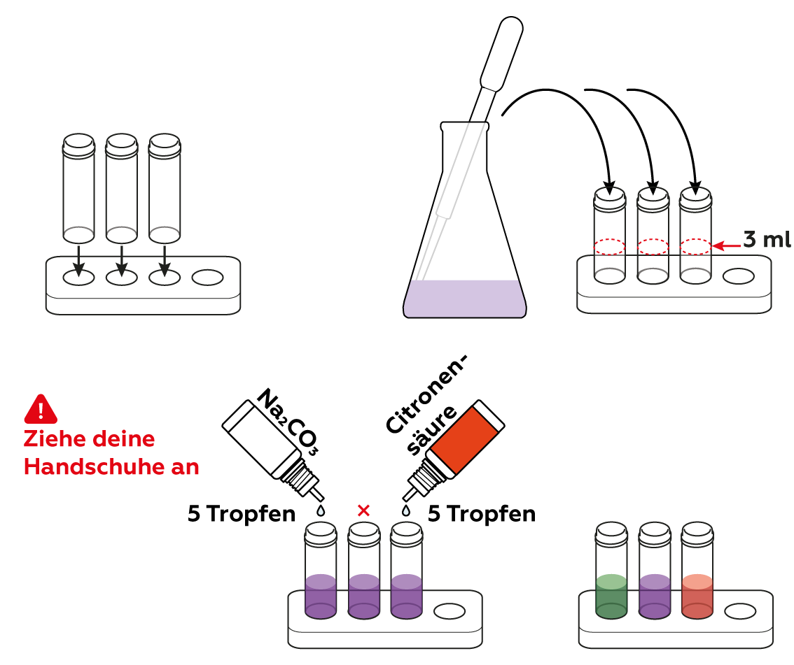 Anthocyane - MEL Chemistry