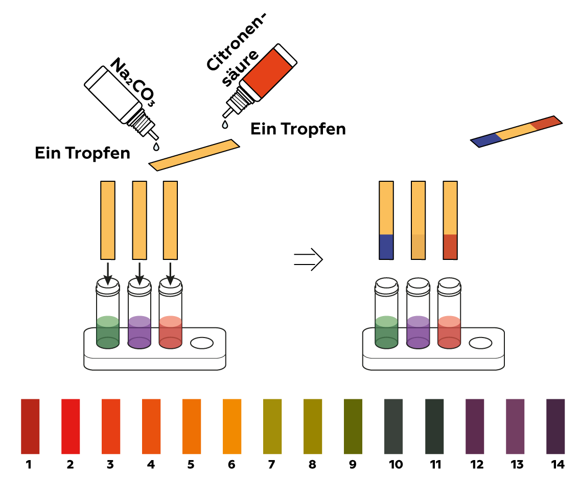 Anthocyane - MEL Chemistry