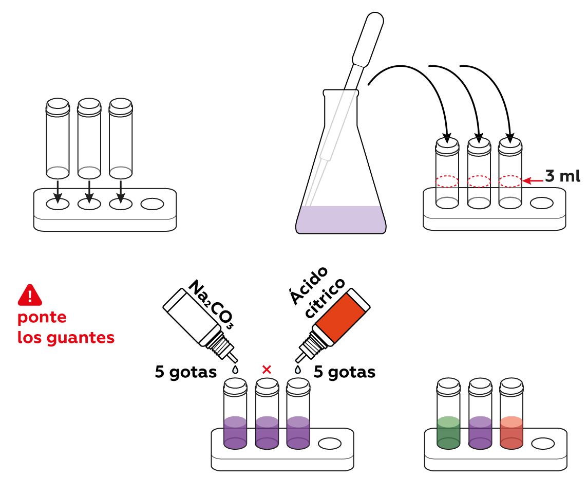 Antocianinas - MEL Chemistry